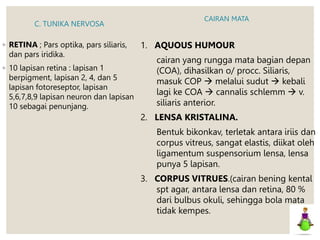 ANFIS PANCA INDERA.ppt