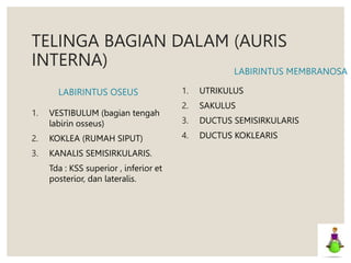 ANFIS PANCA INDERA.ppt
