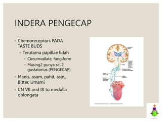ANFIS PANCA INDERA.ppt