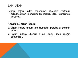 Anatomi fisiologi panca indera pada manusia.pptx