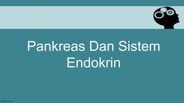 Anatomi Fisiologi Pankreas | PPTX