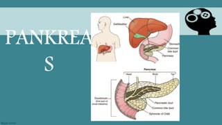 Anatomi Fisiologi Pankreas | PPTX