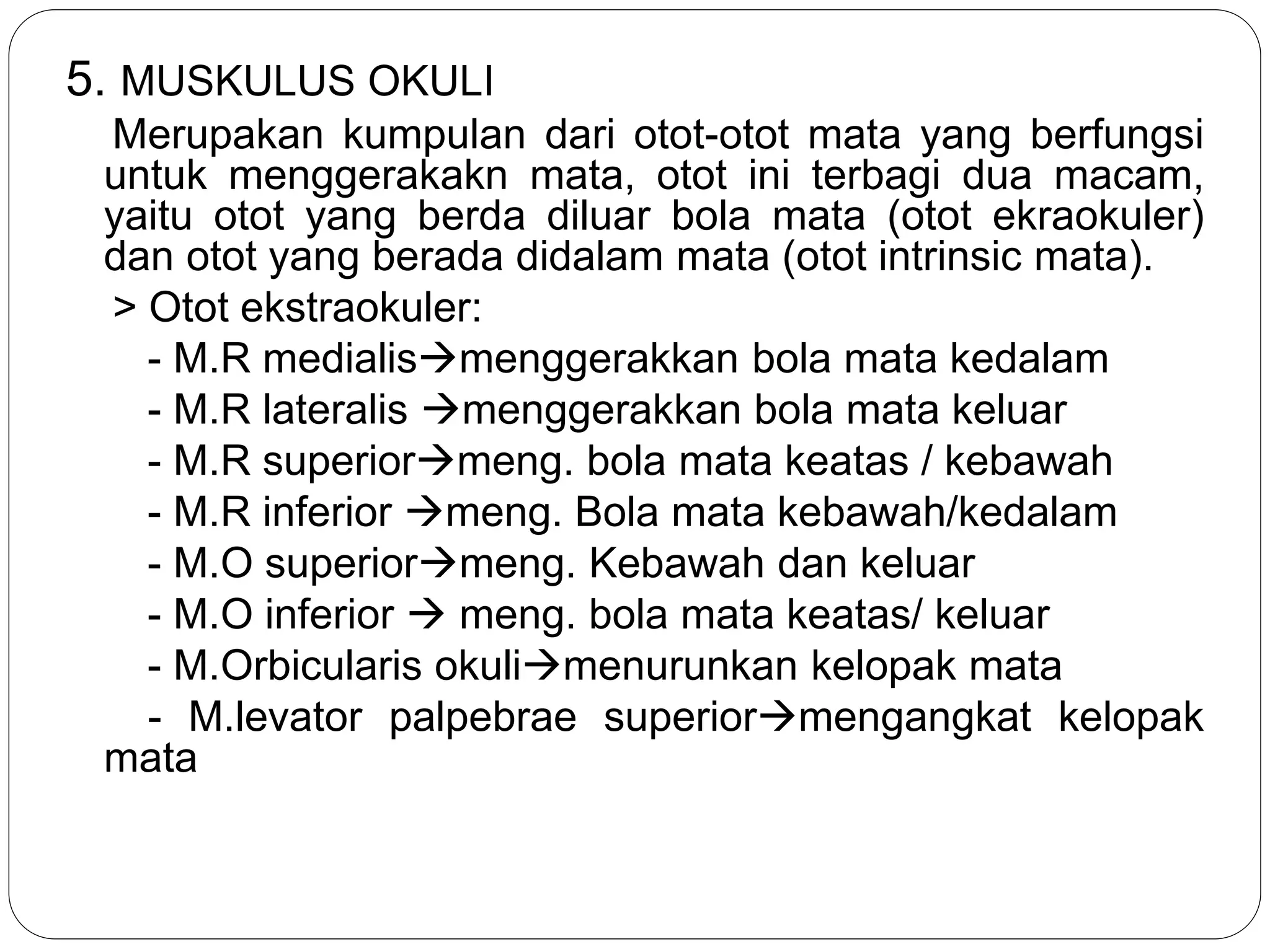 Anatomi dan fisiologi sistem pengindraan | PPT