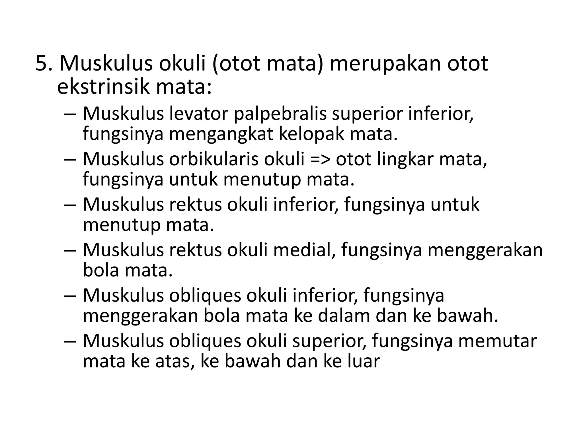 ANFIS PERSEPSI SENSORI.pptx