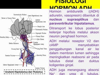 SISTEM REGULASI HORMON ADH | PPTX