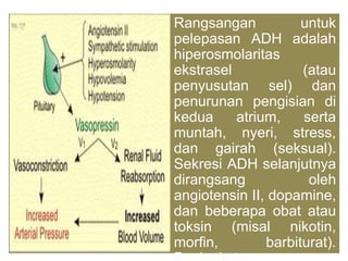 SISTEM REGULASI HORMON ADH | PPTX