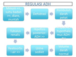SISTEM REGULASI HORMON ADH | PPTX