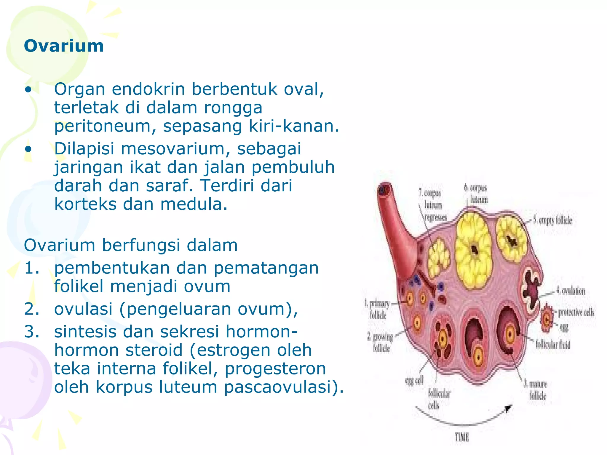 ANFIS sistem reproduksi | PPT