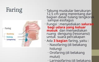 ANATOMI SISTEM RESPIRASI/RESPIRATION ANATOMY | PPTX