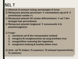 Anatomi Fisiologi Sistem Imunologi Kep. Dewasa | PPTX