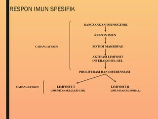 Anatomi Fisiologi Sistem Imunologii. Ppt | PPTX