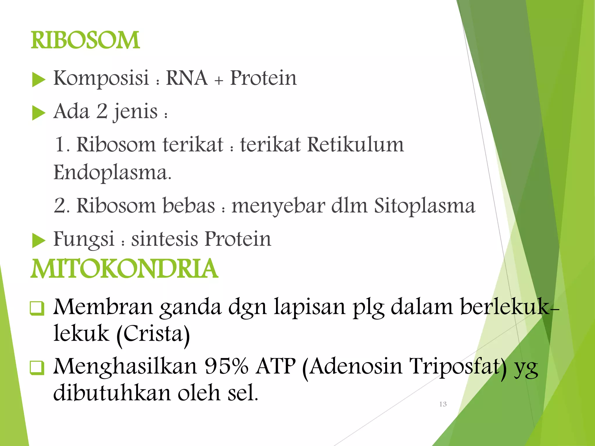 Anatomi Fisiologi Sel dan Jaringan | PPTX