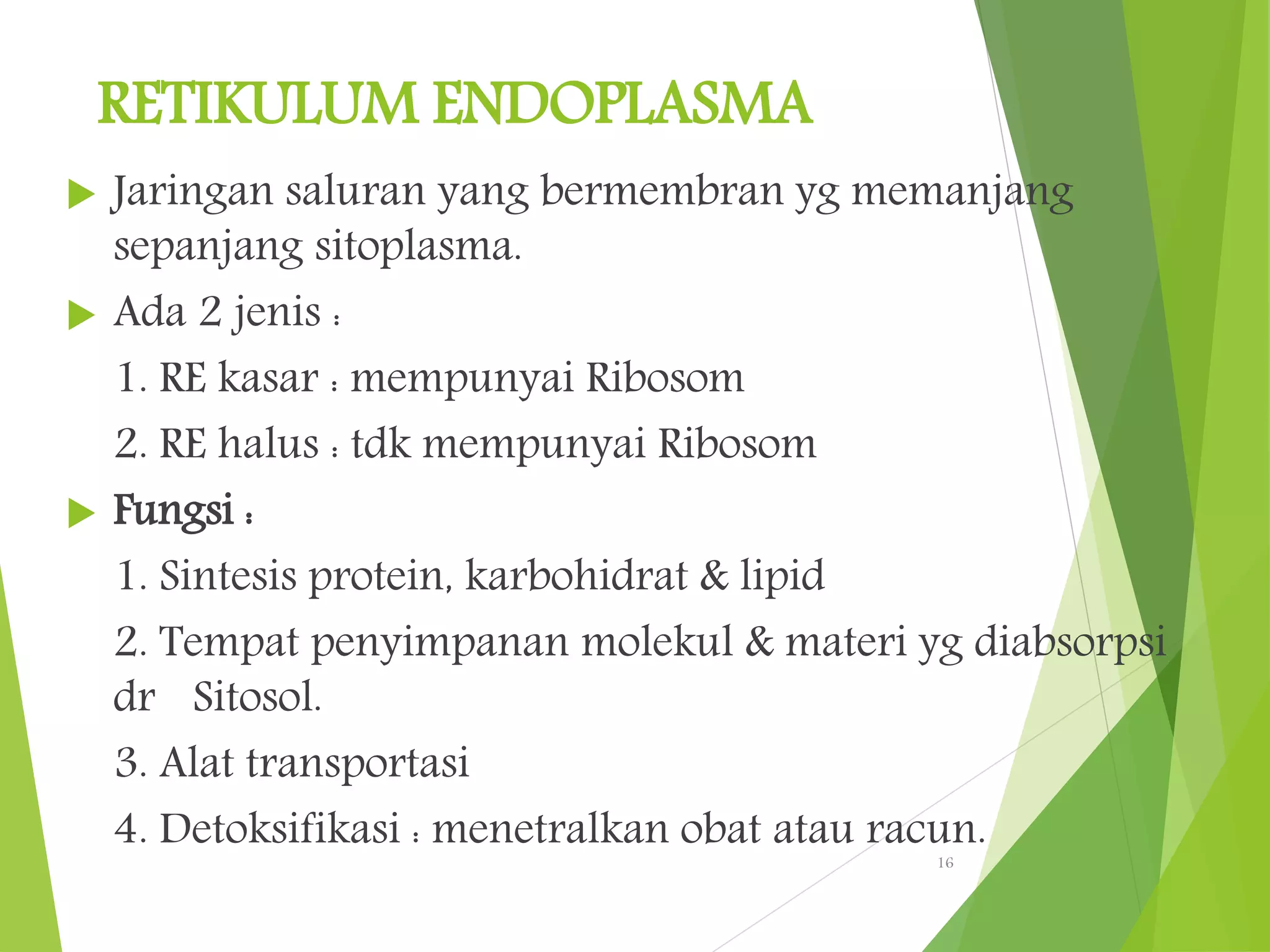 Anatomi Fisiologi Sel dan Jaringan | PPTX