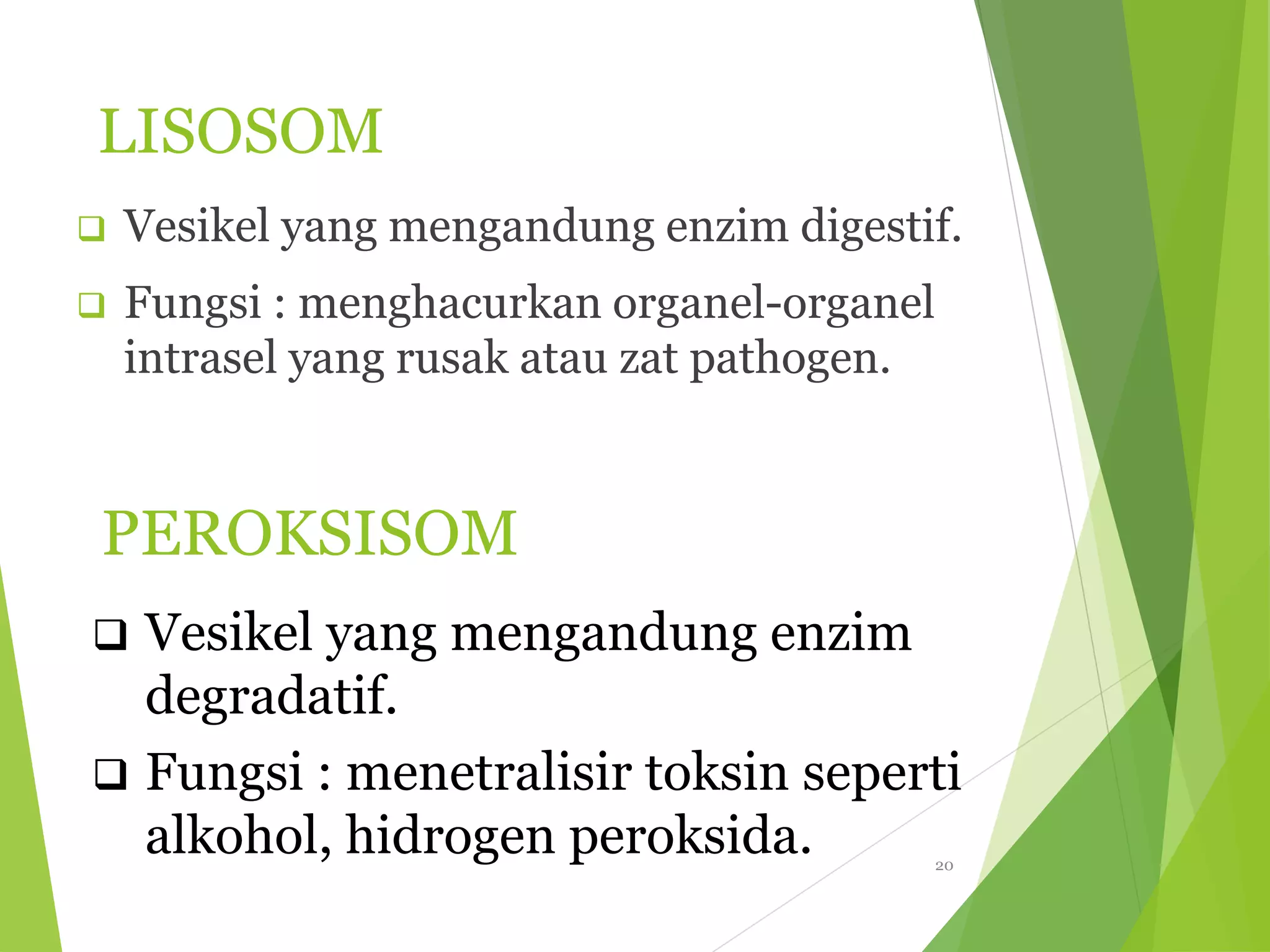 Anatomi Fisiologi Sel dan Jaringan | PPTX