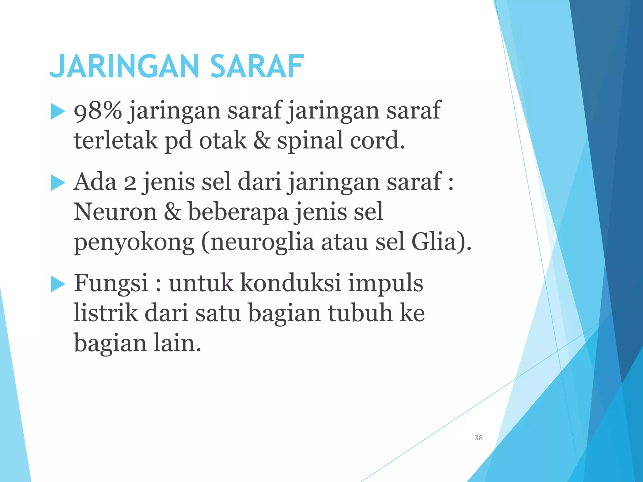 Anatomi Fisiologi Sel dan Jaringan | PPTX