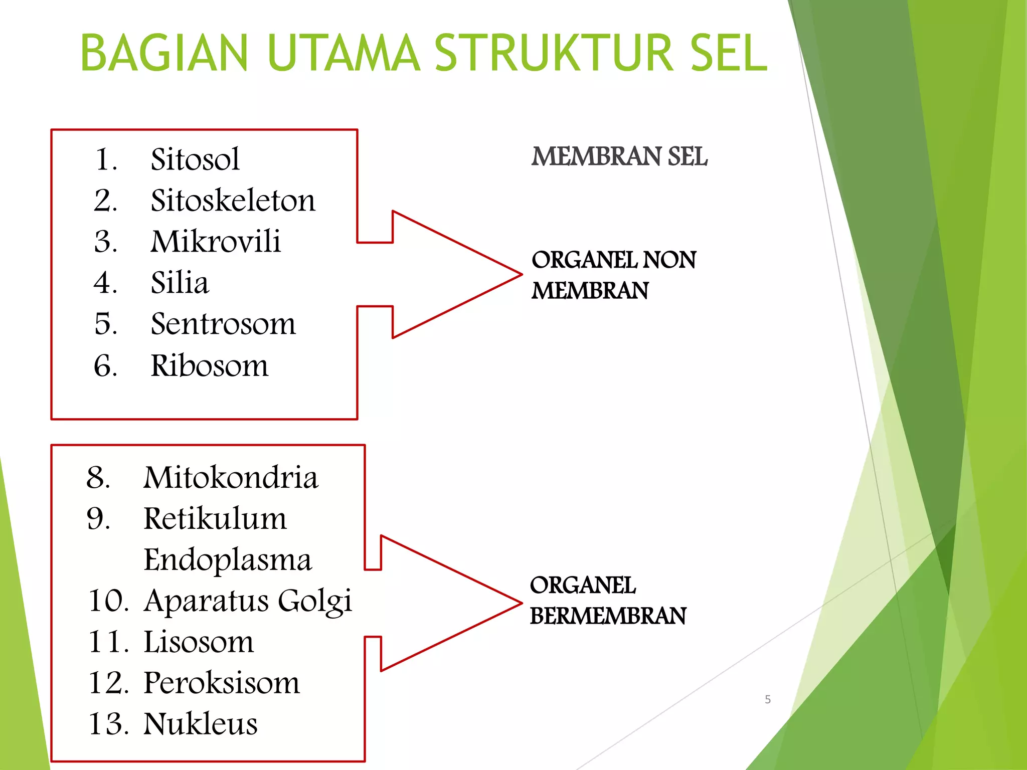 Anatomi Fisiologi Sel dan Jaringan | PPTX