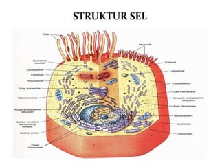 Anatomi Fisiologi Sel dan Jaringan | PPTX