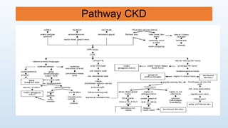 Anatomi dan fis Sis. Urinaria & Askep_CKD.ppt