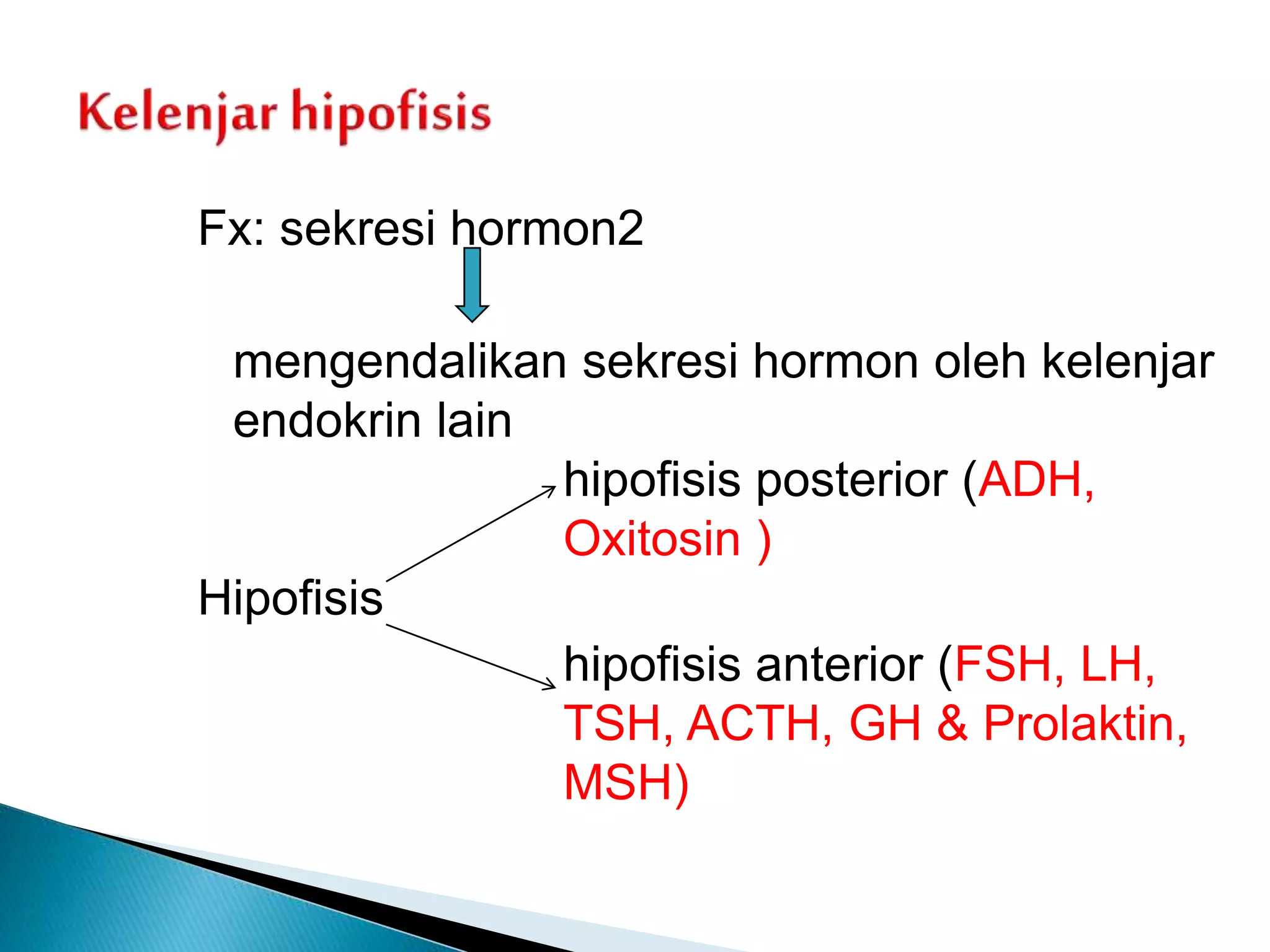 Anfis sistem endokrin | PPTX