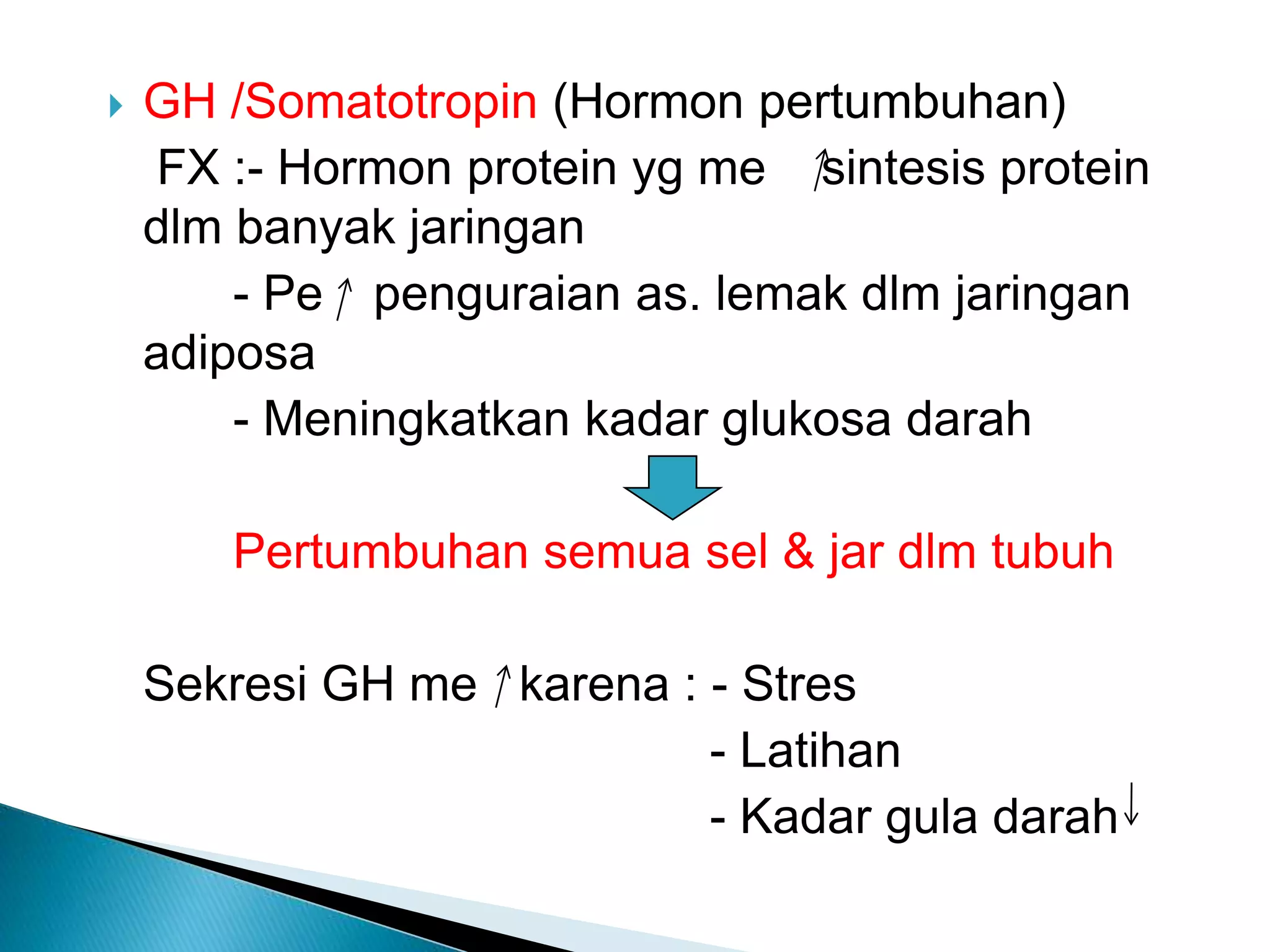 Anfis sistem endokrin | PPTX