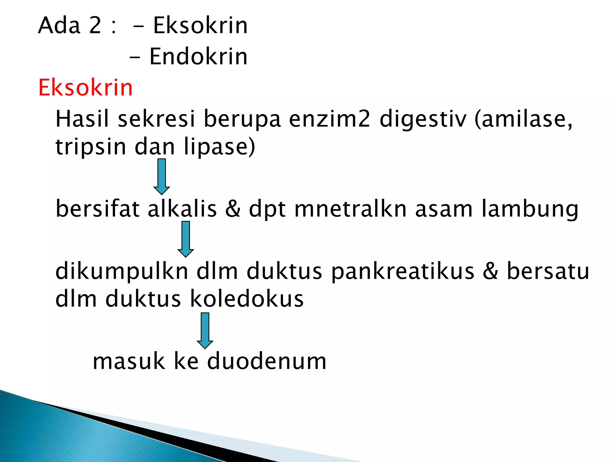 Anfis sistem endokrin | PPTX