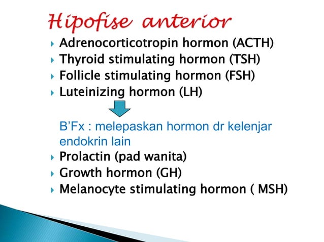 Anfis sistem endokrin | PPTX