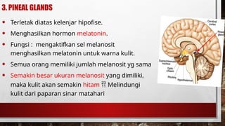 Anfis_Sistem_Endokrin.Obat yang diberikan melalui jalur I.M disuntikkan ke otot (dengan sudut 90 ...