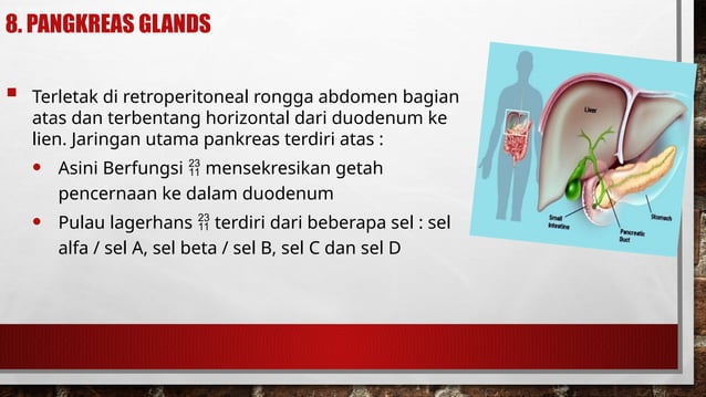 Anfis_Sistem_Endokrin.Obat yang diberikan melalui jalur I.M disuntikkan ...