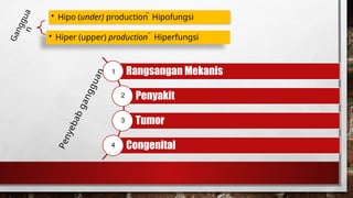 Anfis_Sistem_Endokrin.Obat yang diberikan melalui jalur I.M disuntikkan ...