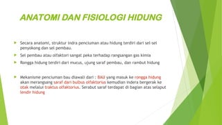 ANFIS SISTEM INDRA KELAS X SMK KEPERAWATAN.ppt