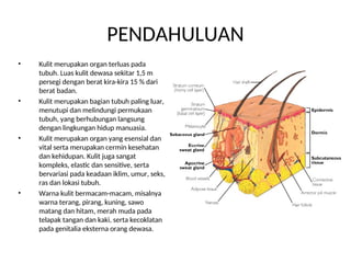 ANFIS SISTEM KULIT SMK KELAS X KEPERAWATAN.ppt