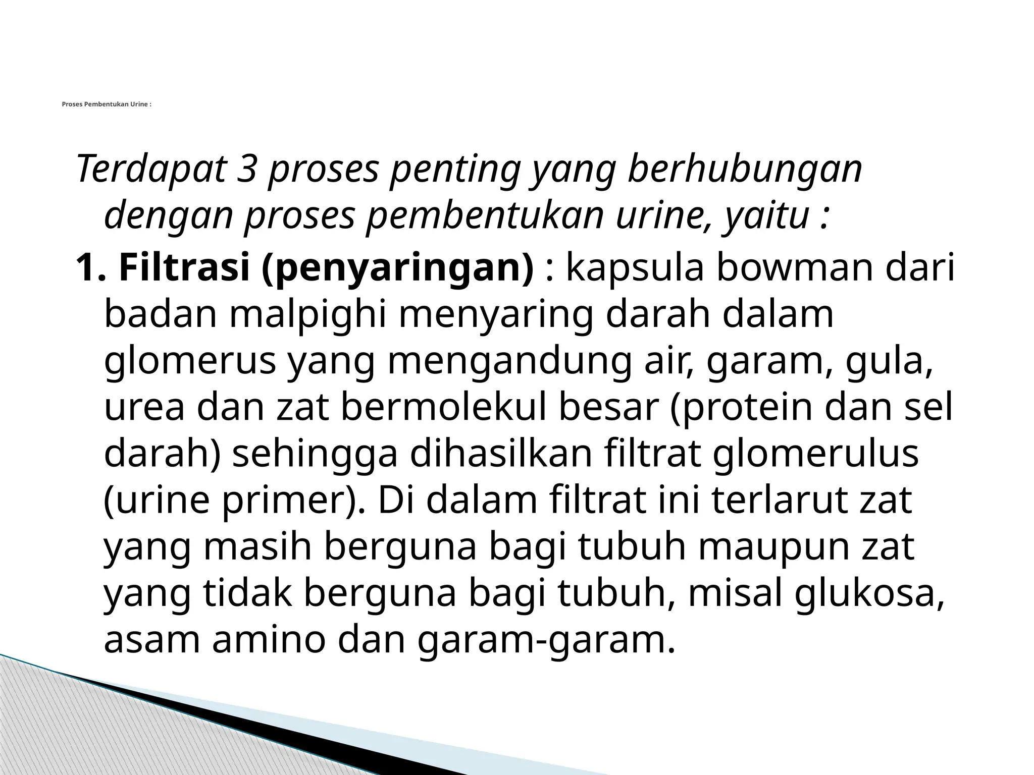 anfis sanfis sistem perkemihan dr mahir.pptx