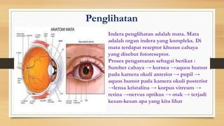 Anfis sistem sensori | PPTX