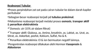 Anatomi Fisiologi Sistem Urinari ....... | PPT