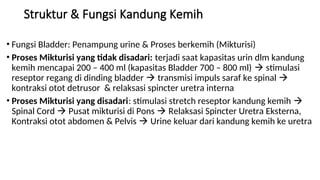 Anatomi Fisiologi Sistem Urinari ....... | PPT