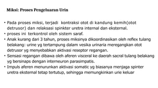 Dasar-Dasar Anatomi Fisiologi Sistem Urinaria | PPTX