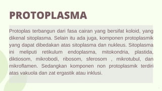 Anatomi Fisiologi Tumbuhan semester 1 | PDF