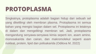 Anatomi Fisiologi Tumbuhan semester 1 | PDF
