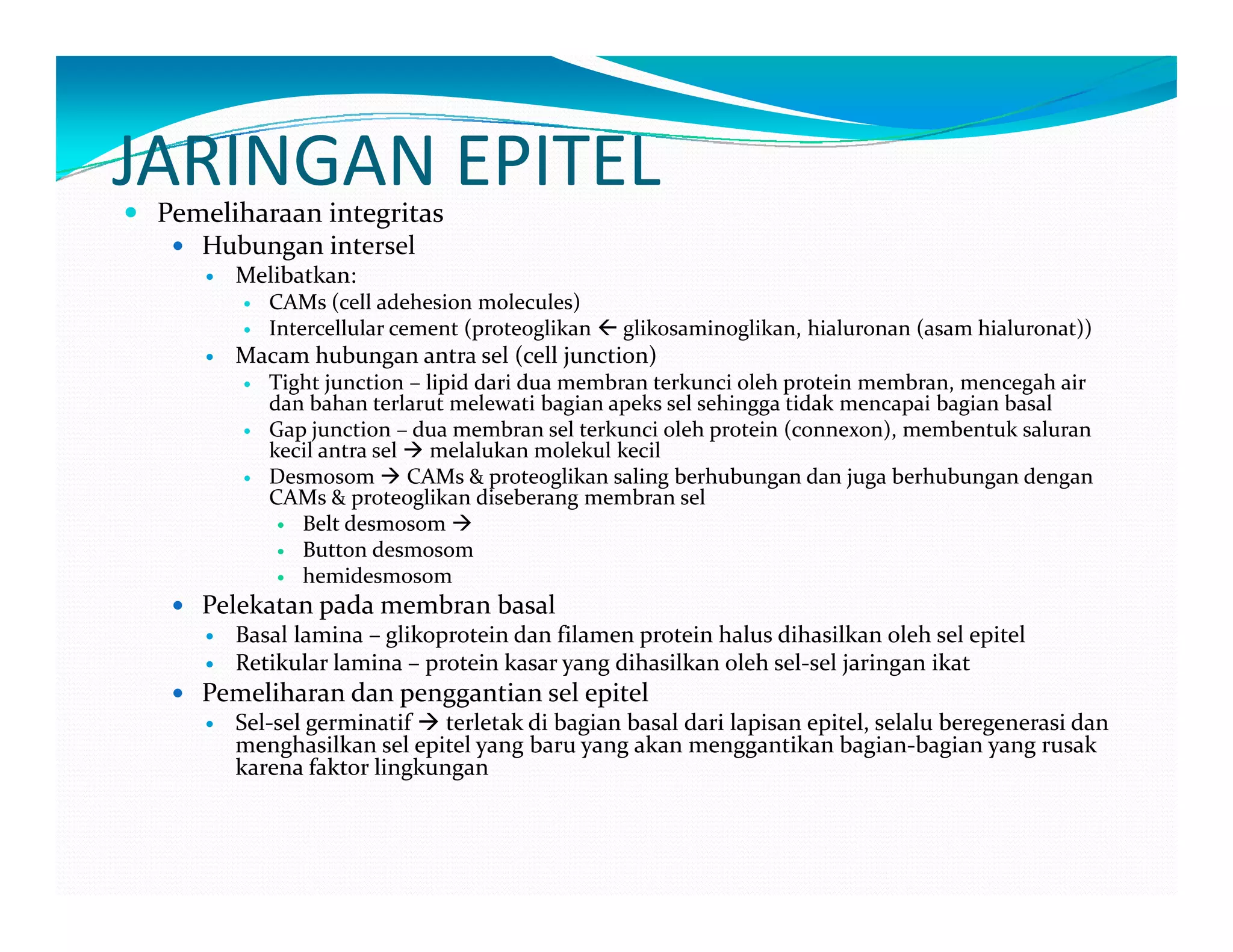 Anfiswan k2-1 - jaringan epitel | PDF