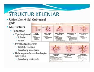 Anfiswan k2-1 - jaringan epitel | PDF