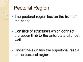 PECTORAL_MUSCLES.pptx
