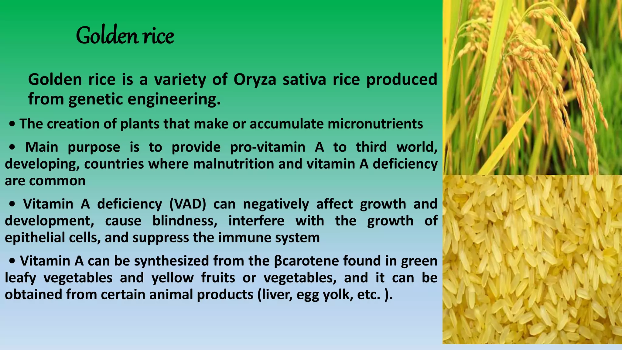Genetically Modified Crop Production. | PPTX