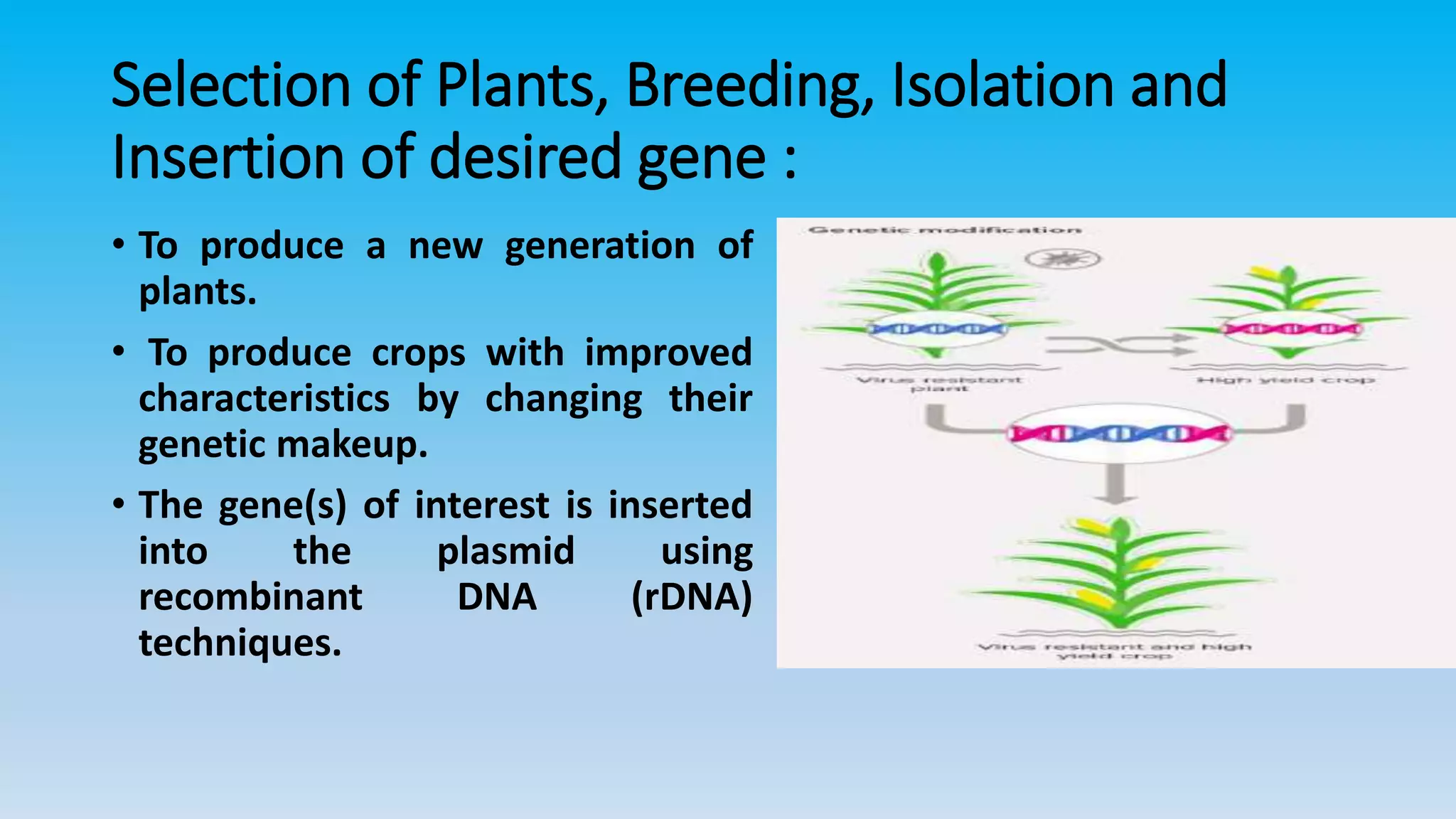 Genetically Modified Crop Production. | PPTX
