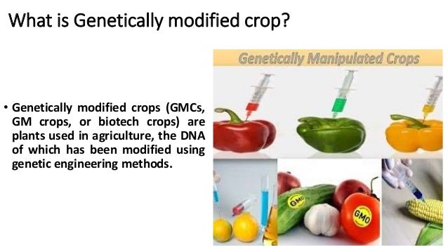 Genetically Modified Crop Production.