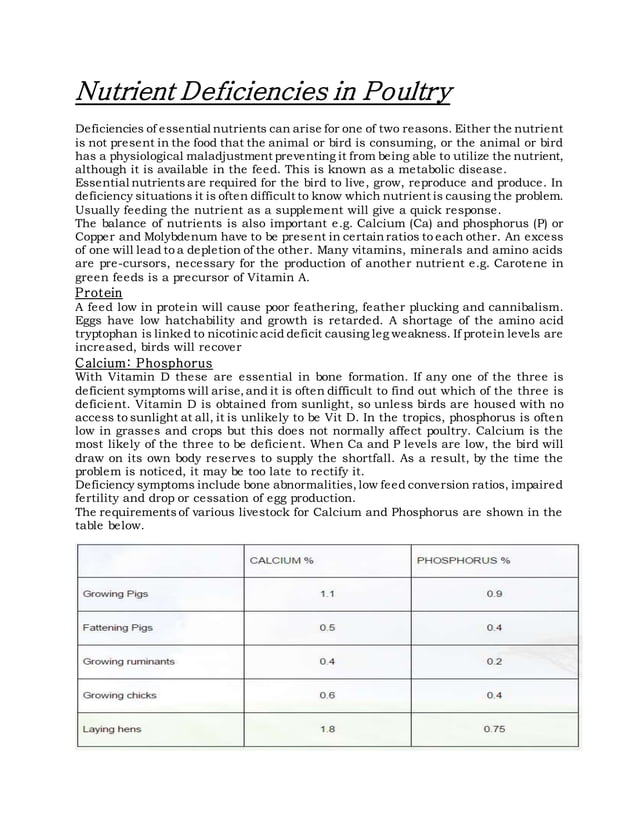 Nutrient Deficiency in Poultry | DOCX | Birds | Pets