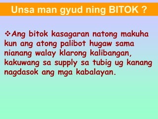 ANG-BITOK.ppt