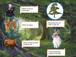 Ang-Hatol-ng-Kuneho.pptx