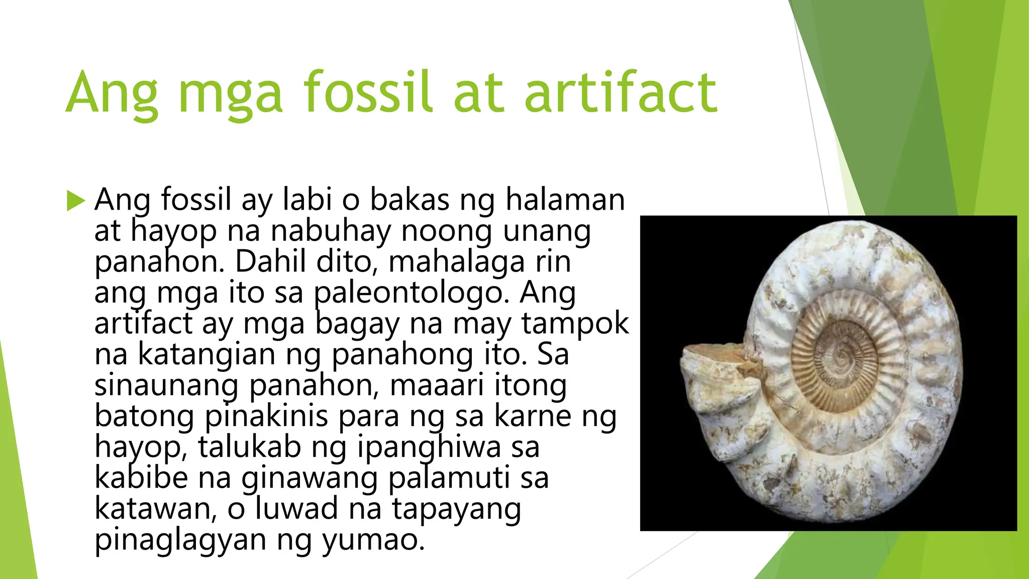 Ang-Pagaaral-sa-Buhay-at-Kultura-ng-Sinaunang.pptx