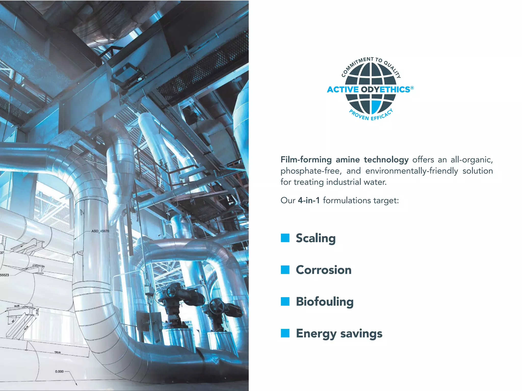 French Filming Amines General Presentation | PDF