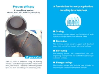 French Filming Amines General Presentation | PDF